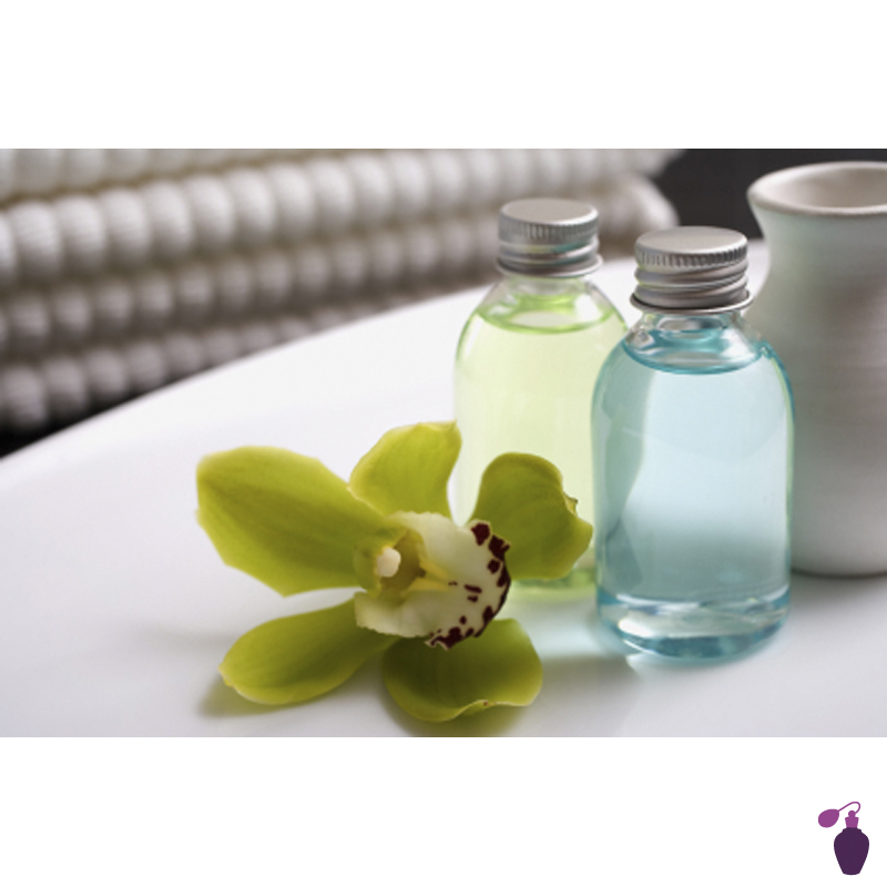6 Aromatherapy Essentials for Ultimate Relaxation | Eau Talk - The ...